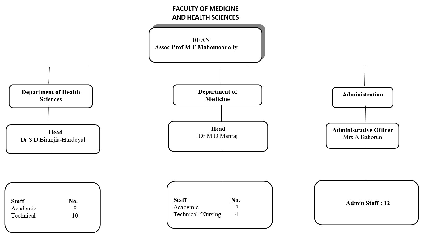 Structure of the Faculty